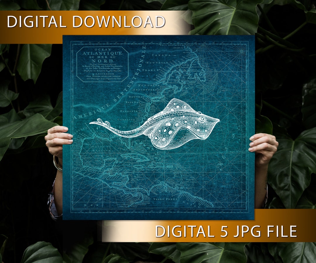 Stingray Map Print Instant Download Stingray Wall Art - Etsy