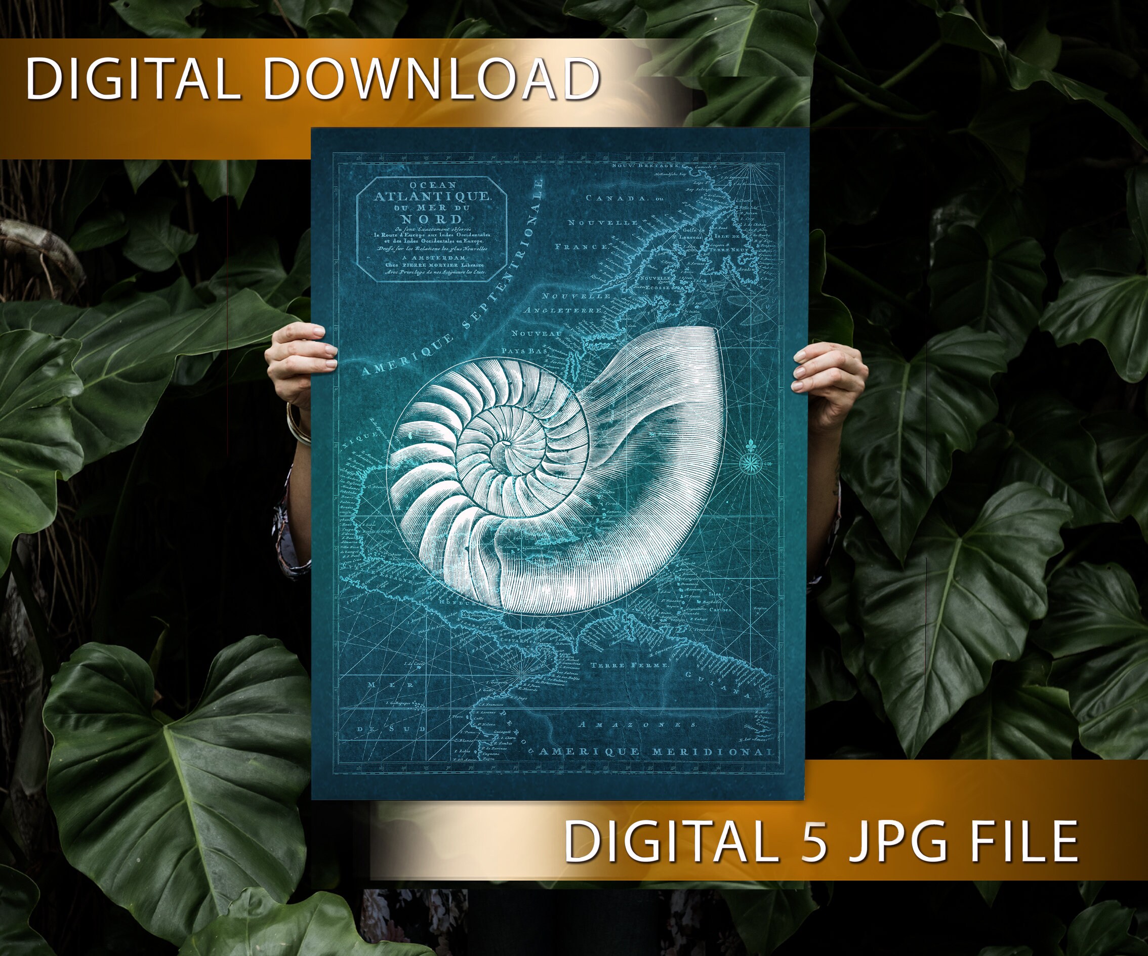 Seashell Map Print Instant Download Seashell Wall Art - Etsy