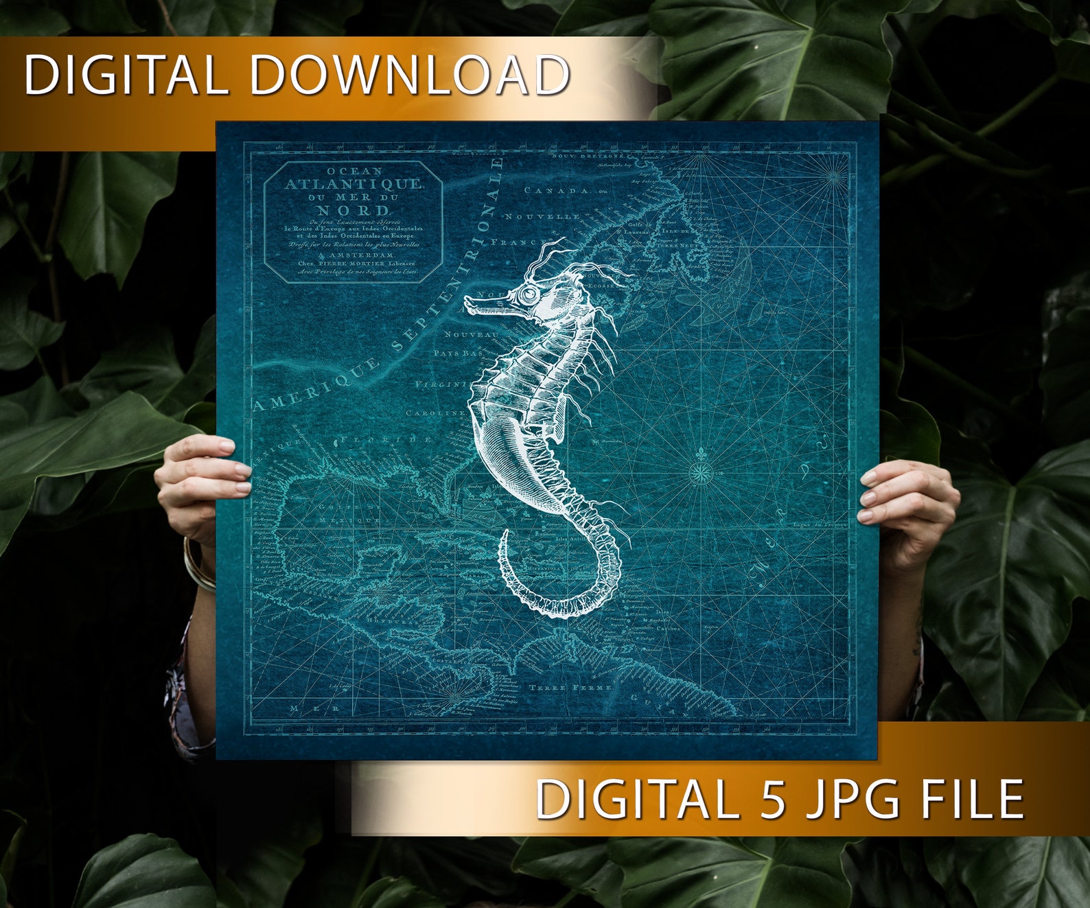 Seahorse Map Print Instant Download Seahorse Wall Art - Etsy