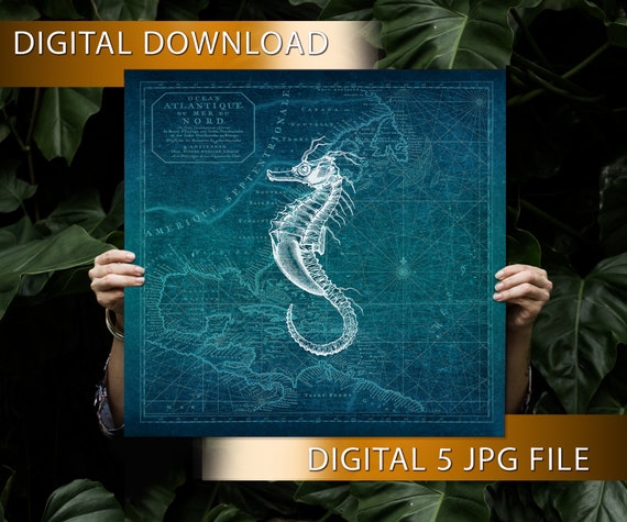 Seahorse Map Print Instant Download Seahorse Wall Art - Etsy