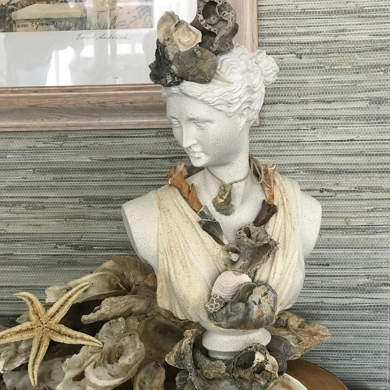 Shell Bust - Etsy