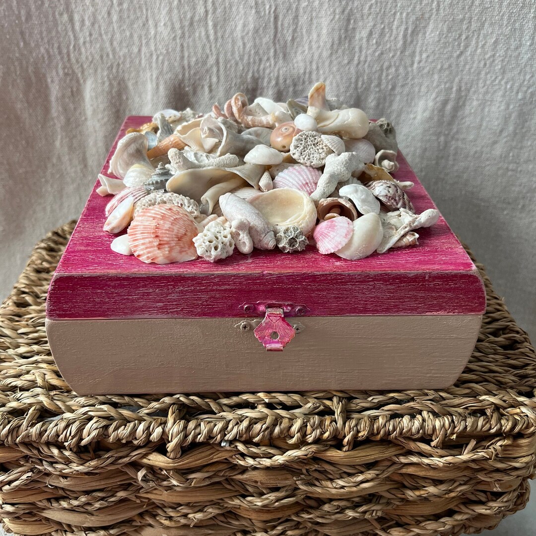 Seashell Box - Etsy