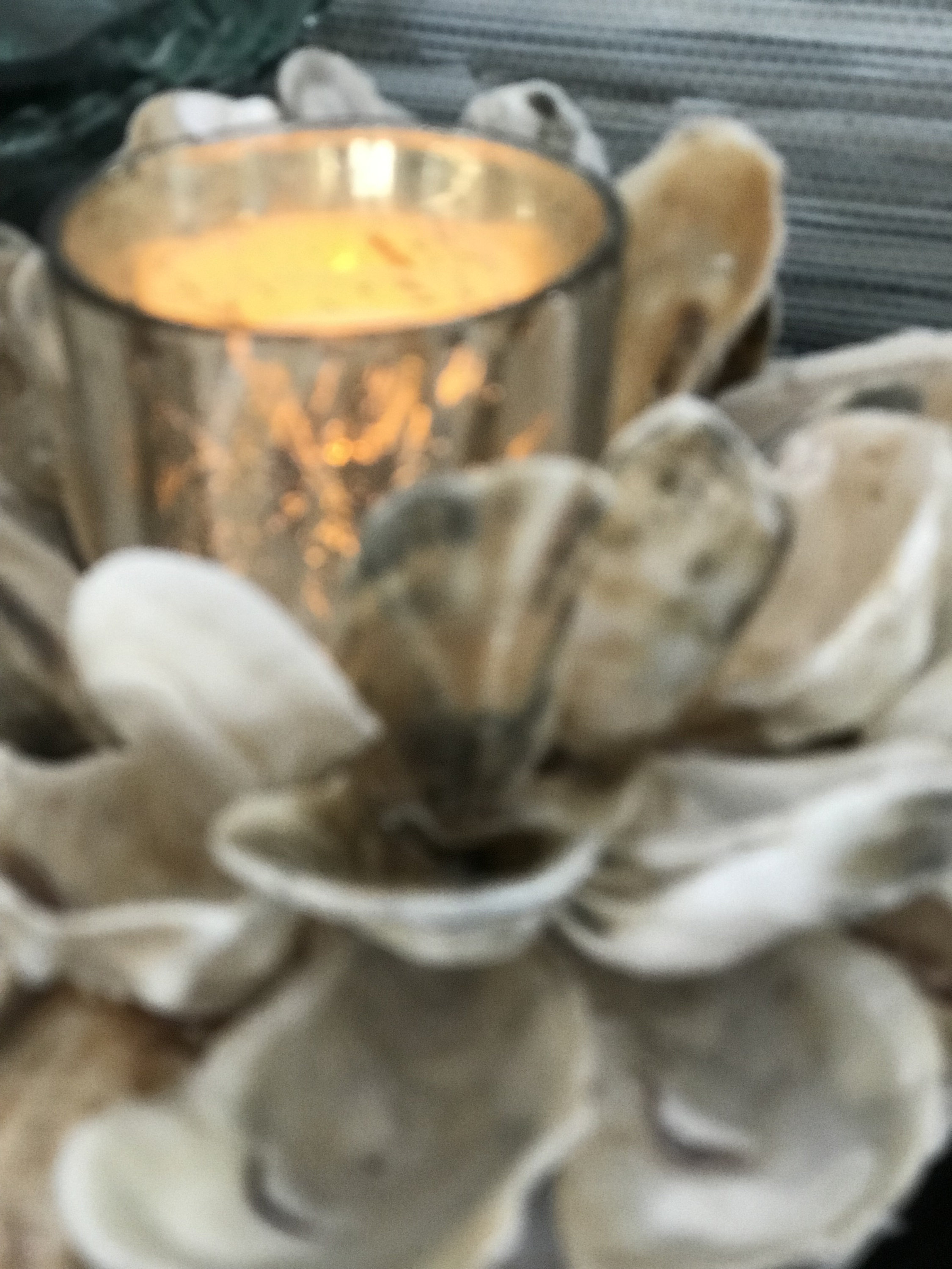 Oyster Shell Candle Holder - Etsy
