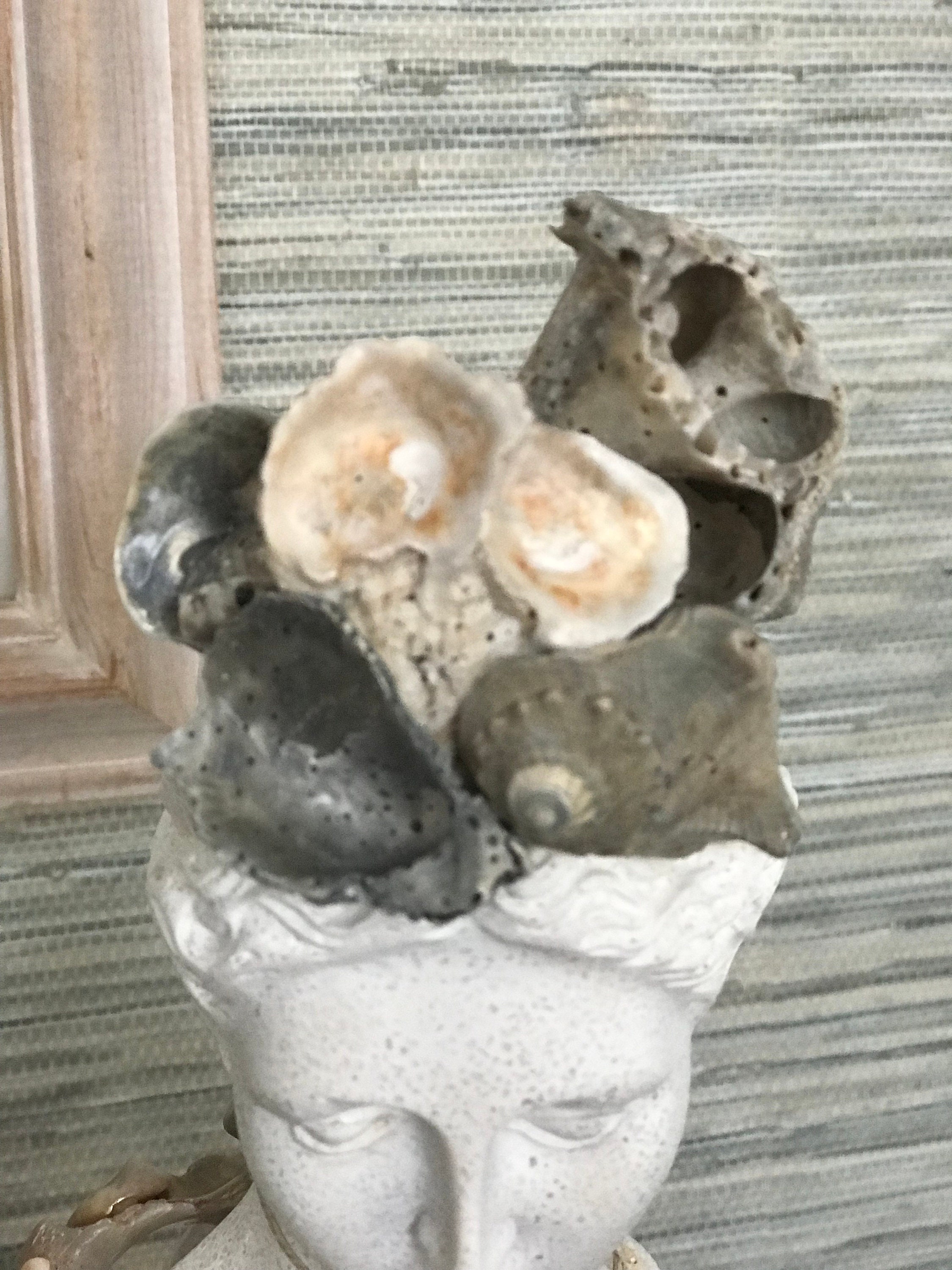 Shell Lady Statue - Etsy