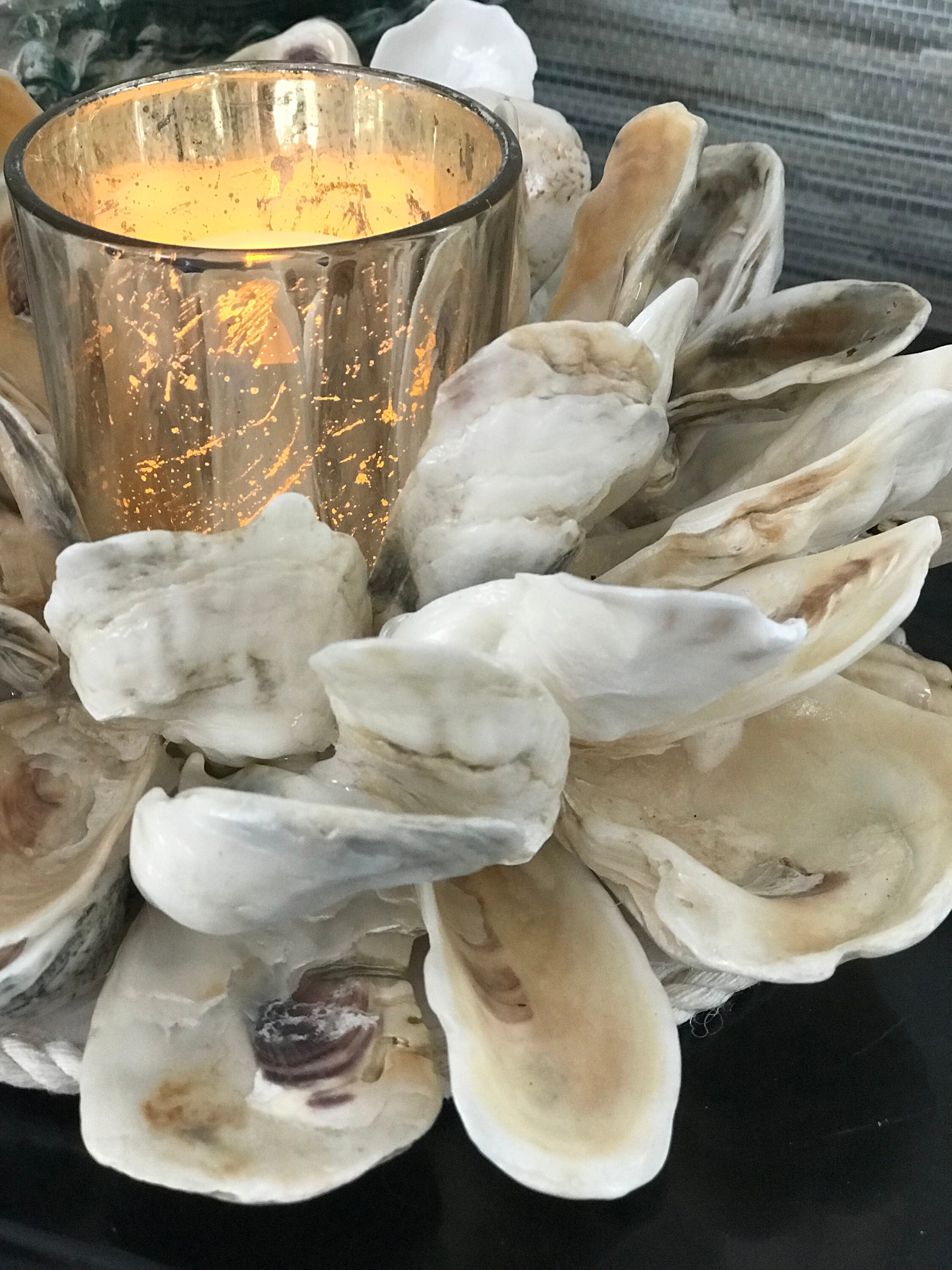 Oyster Shell Candle Holder - Etsy