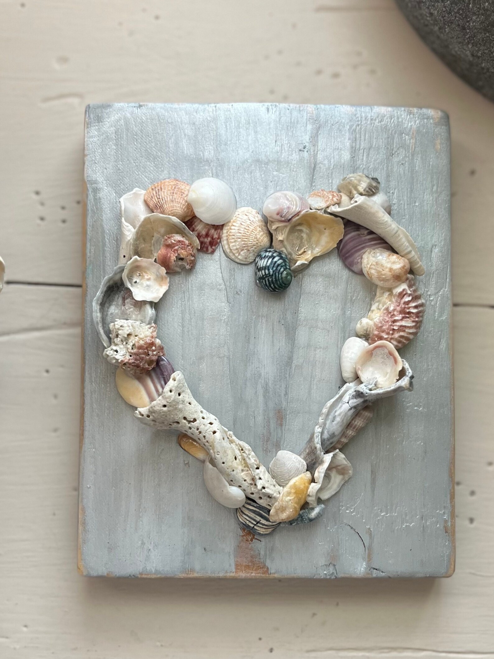 Seashell Heart Plaque - Etsy
