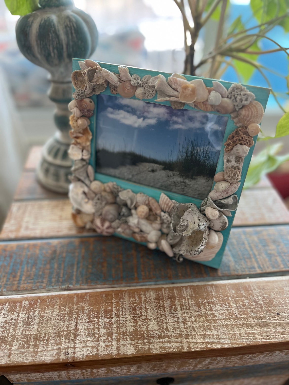 Seashell Frame - Etsy