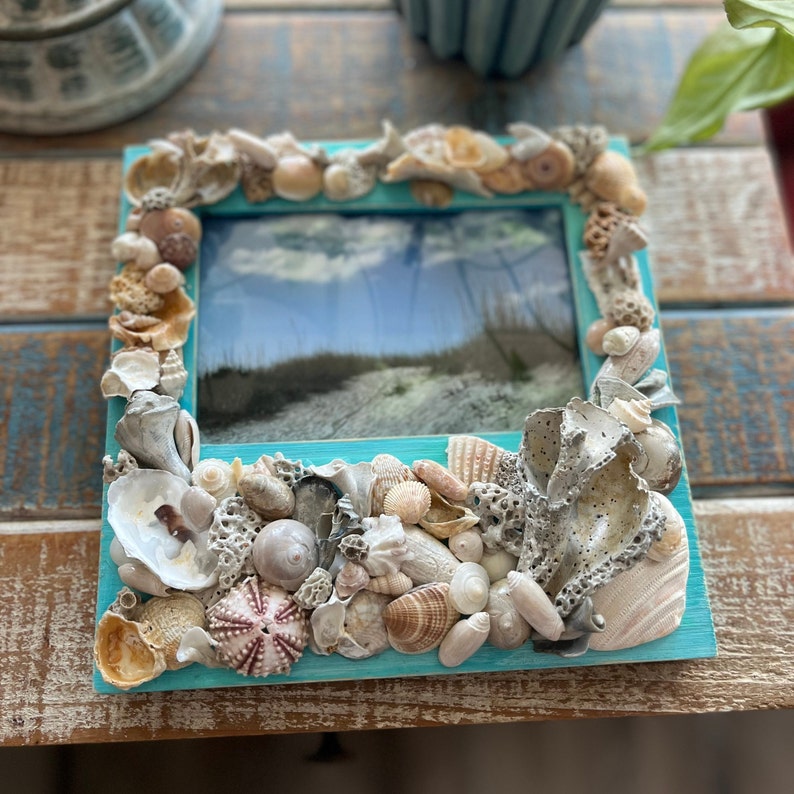 Seashell Frame - Etsy