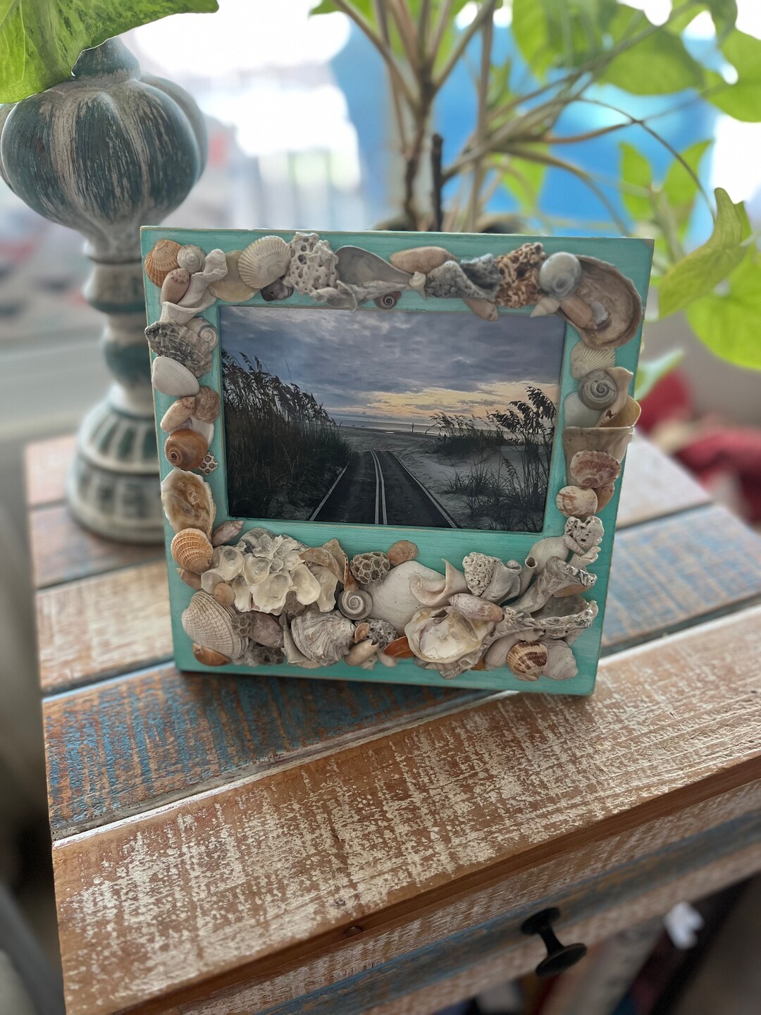 Seashell Frame - Etsy