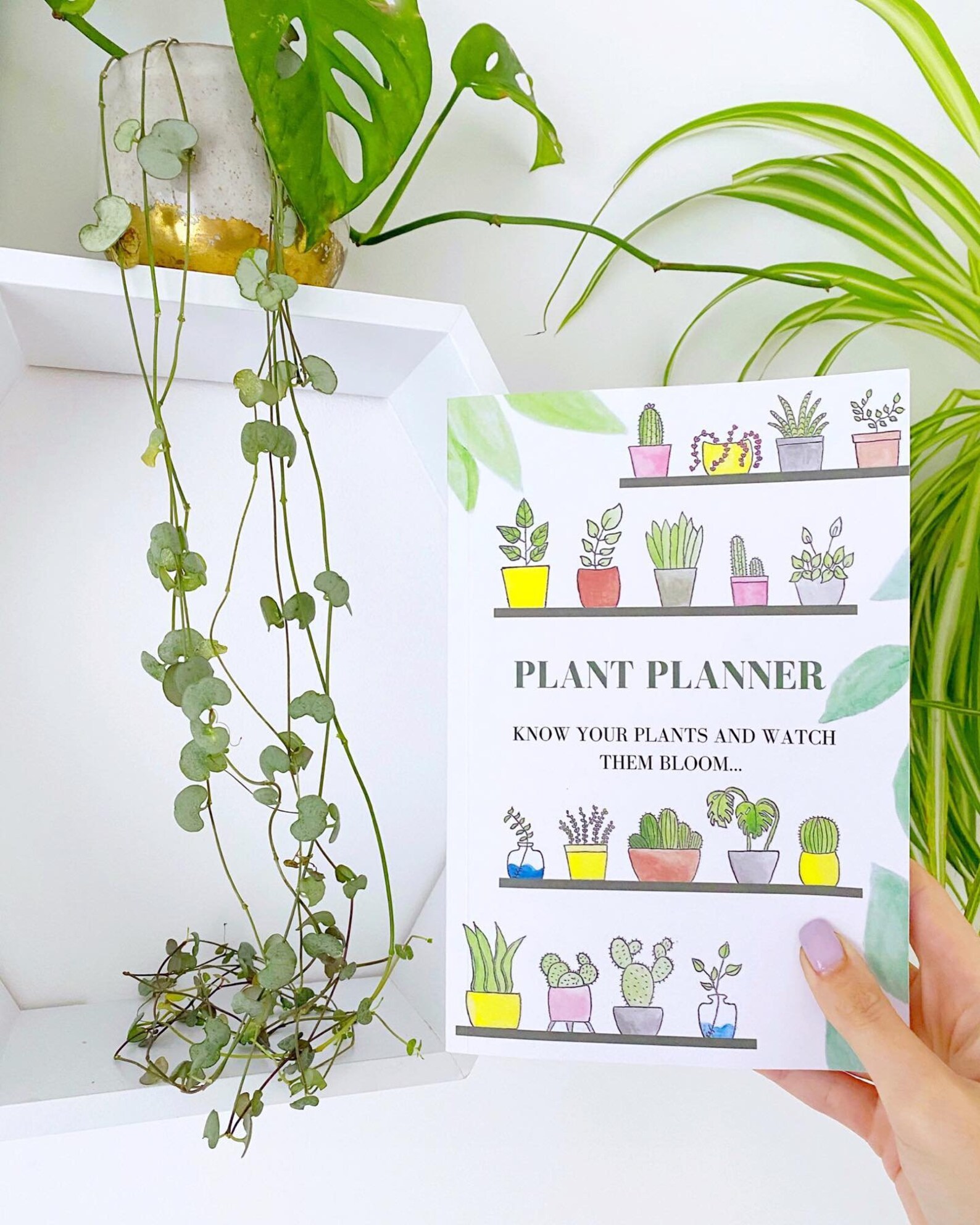 Plant planner - eviltaste