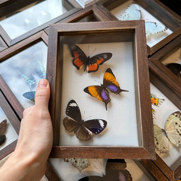 Butterfly Artwork - Etsy