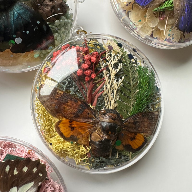 Insect Ornament - Etsy