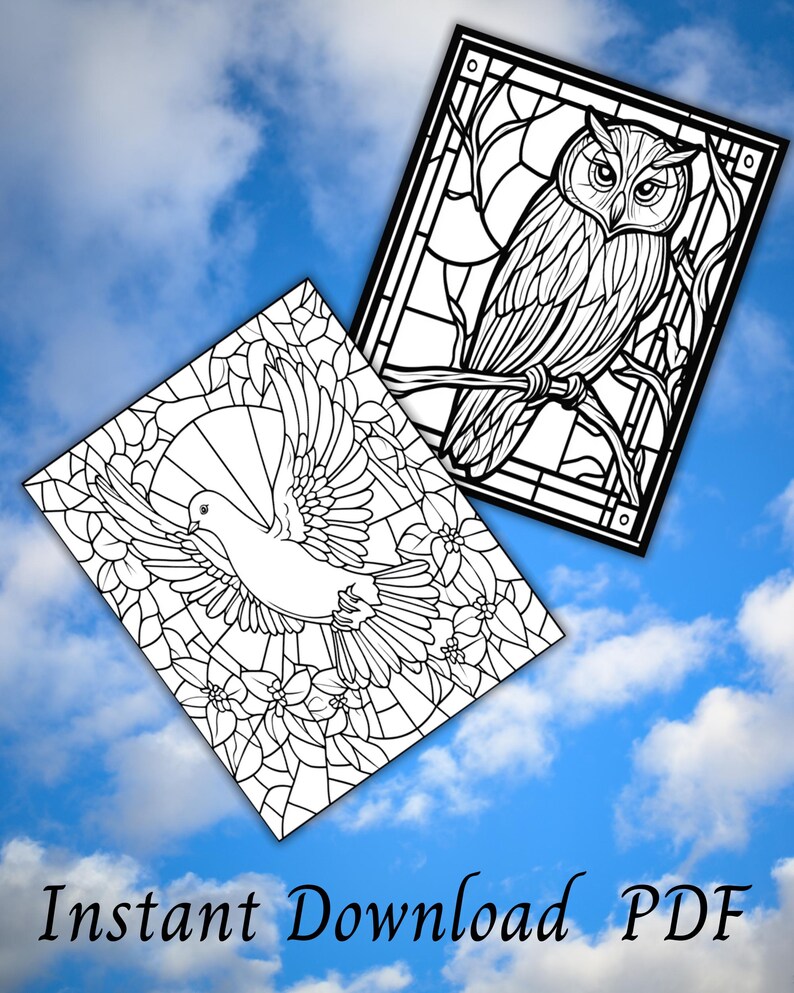 Printable Stained Glass Birds Coloring Pages, Instant Download PDF - Etsy