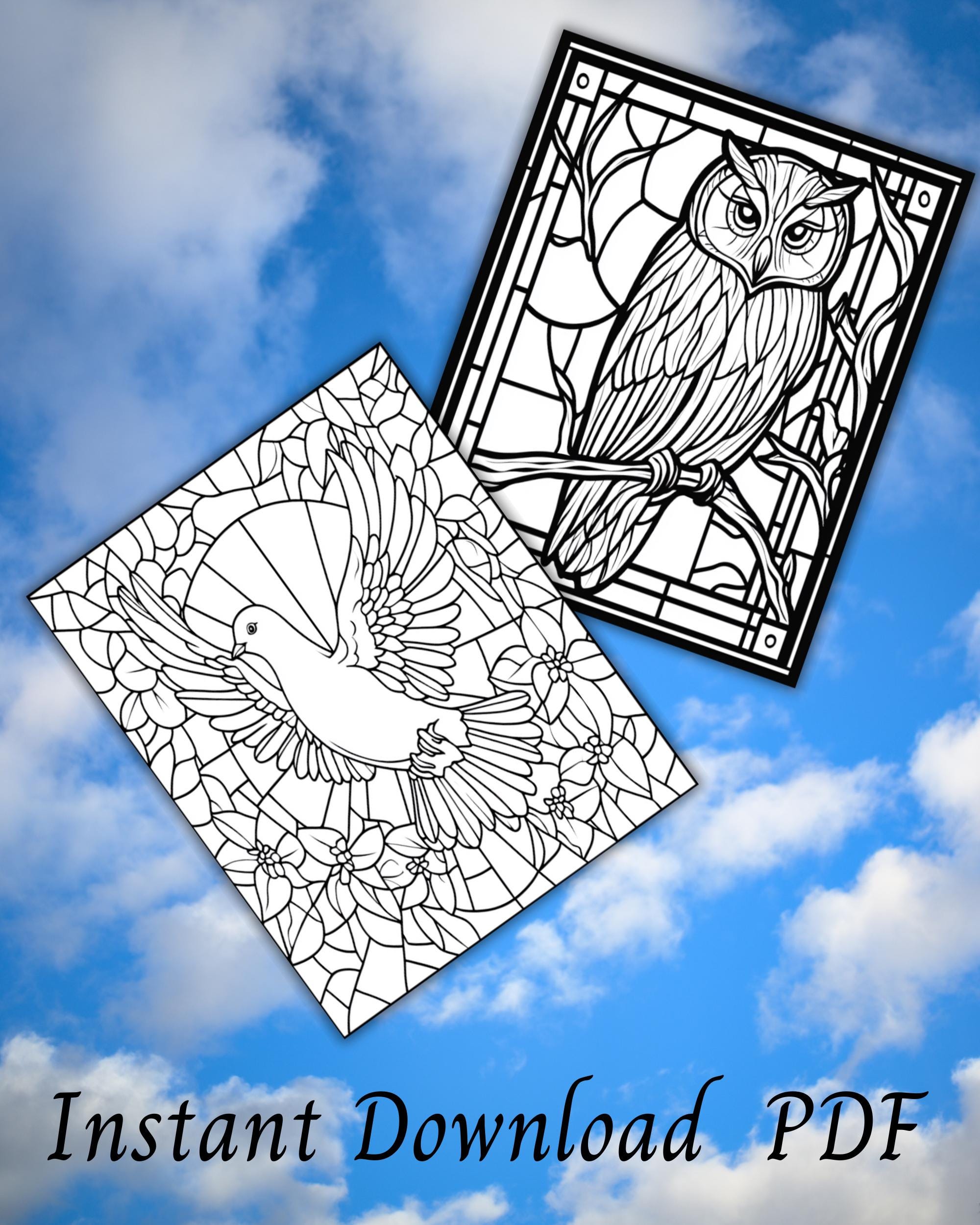 Printable Stained Glass Birds Coloring Pages, Instant Download PDF - Etsy