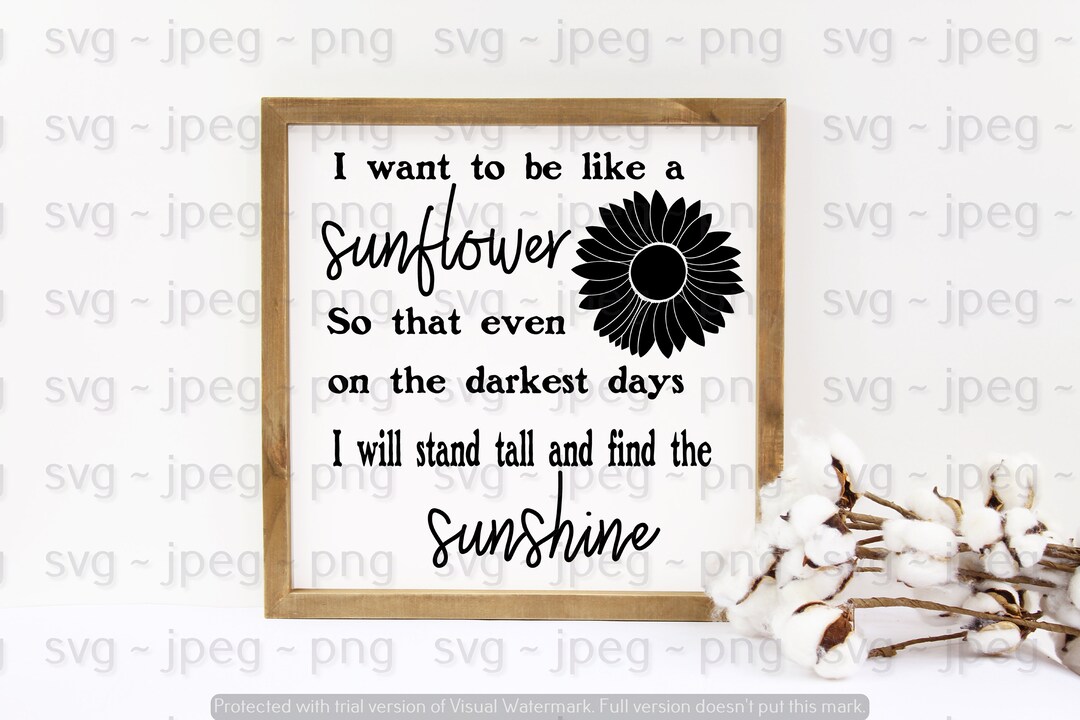 I Want to Be Like a Sunflower so That Even on the Darkest Days I Will ...