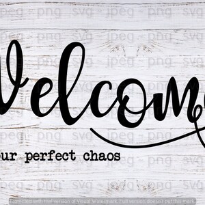 Our Perfect Chaos Svg - Etsy