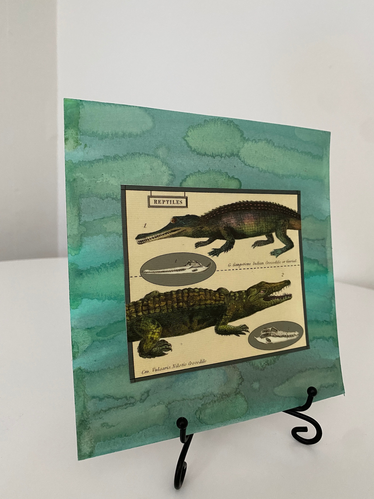 Original Alligator Diagram Watercolor Collage - Etsy