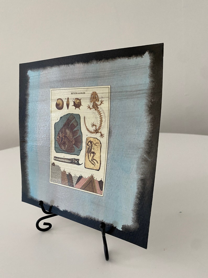 Original Fossils Diagram Watercolor Collage - Etsy