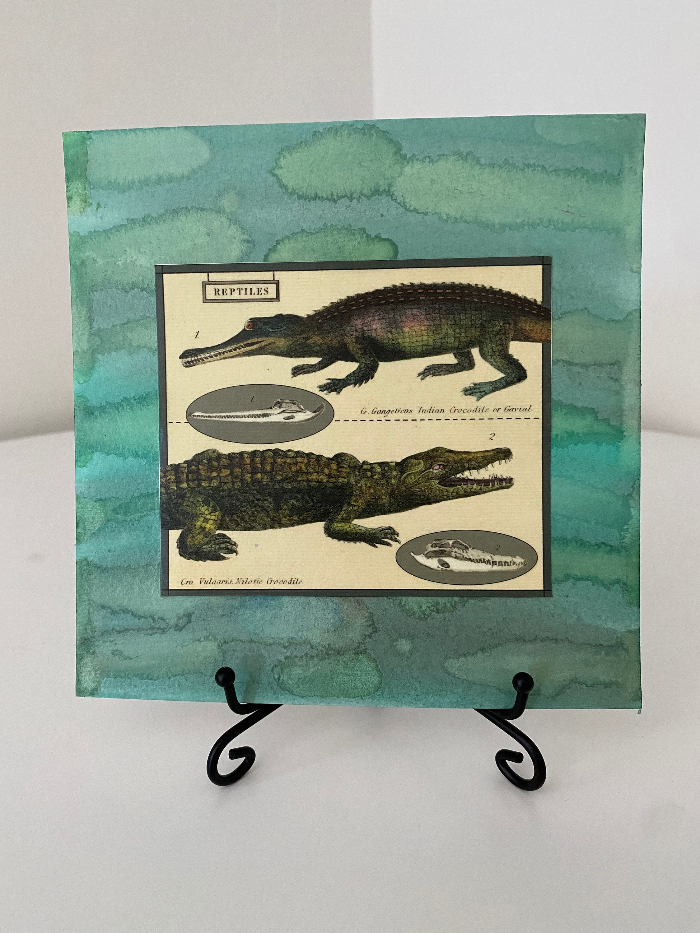 Print Alligator Diagram Watercolor Collage - Etsy