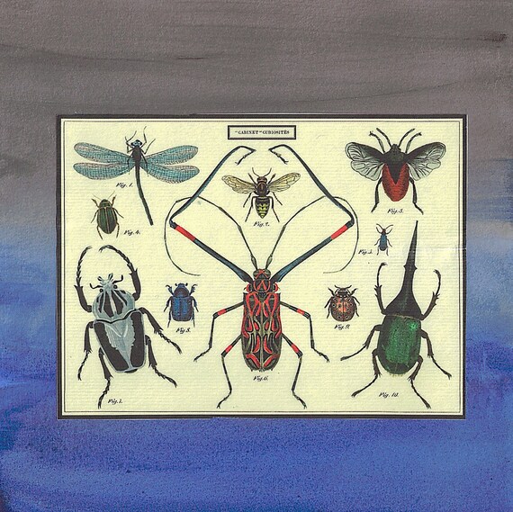 Print Bugs Diagram Watercolor Collage | Etsy