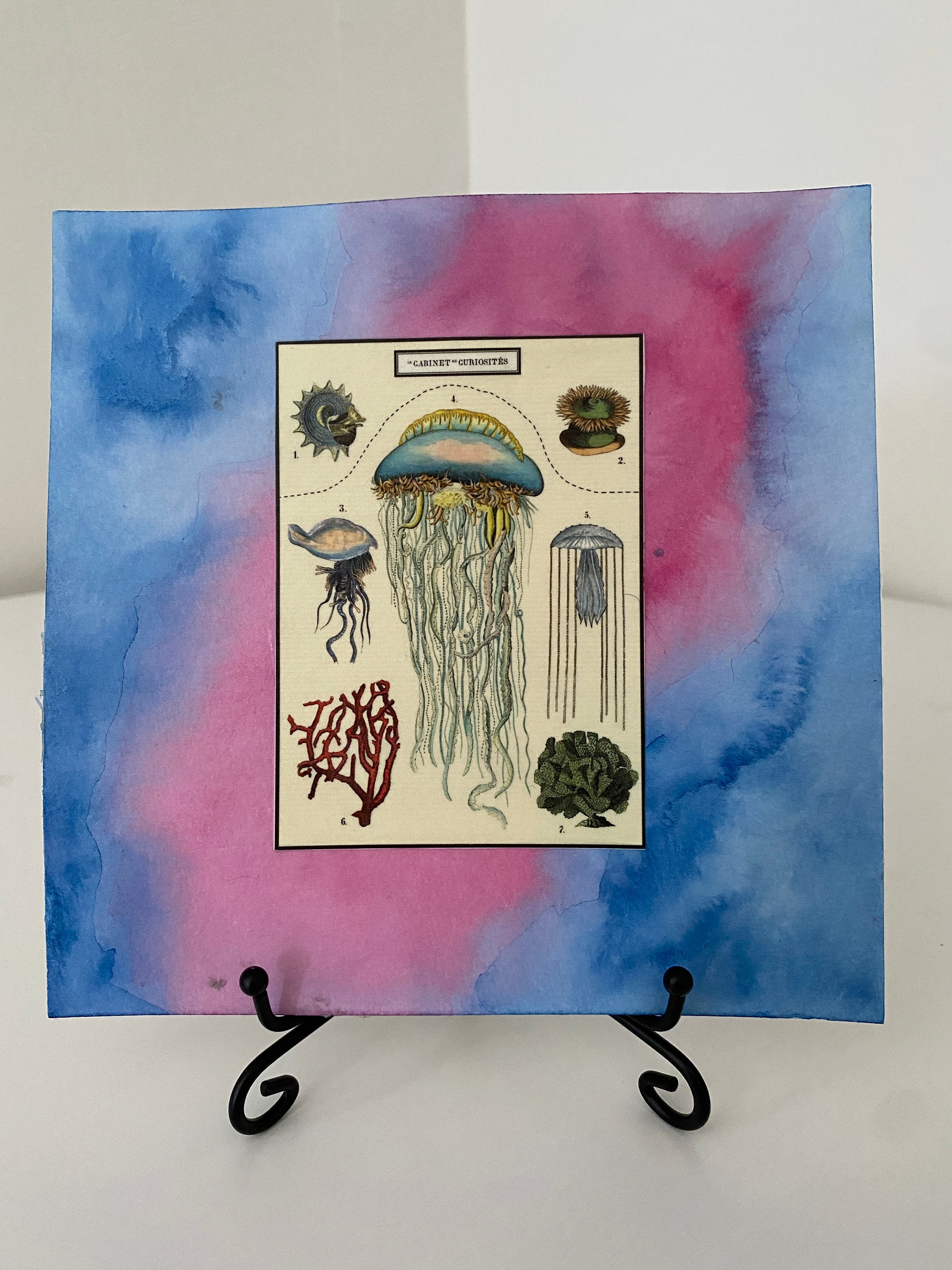 Original Jellyfish Diagram Watercolor Collage - Etsy