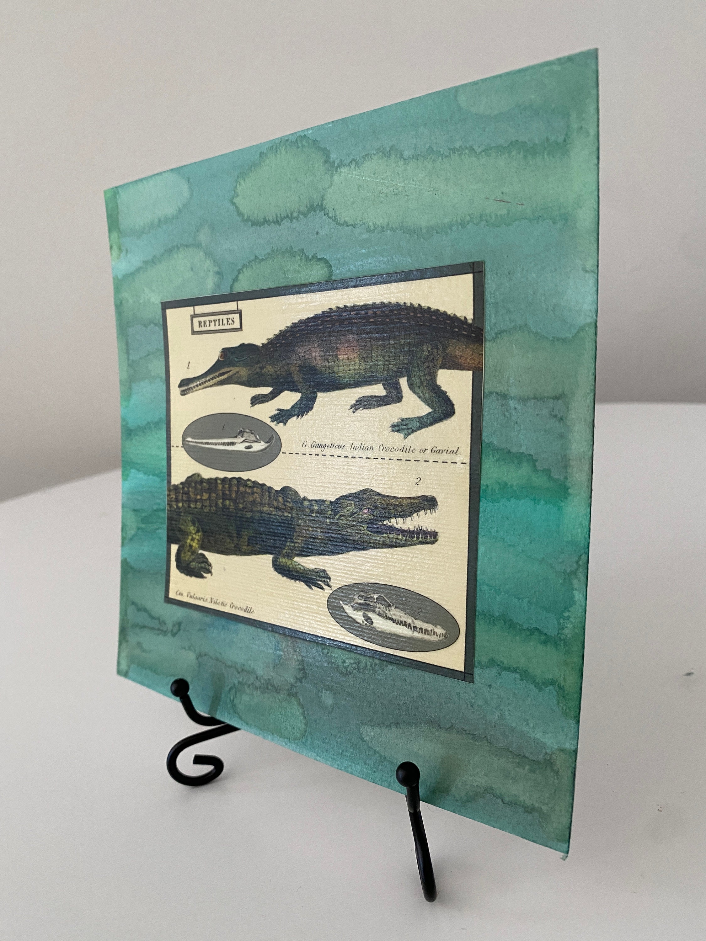 Print Alligator Diagram Watercolor Collage - Etsy