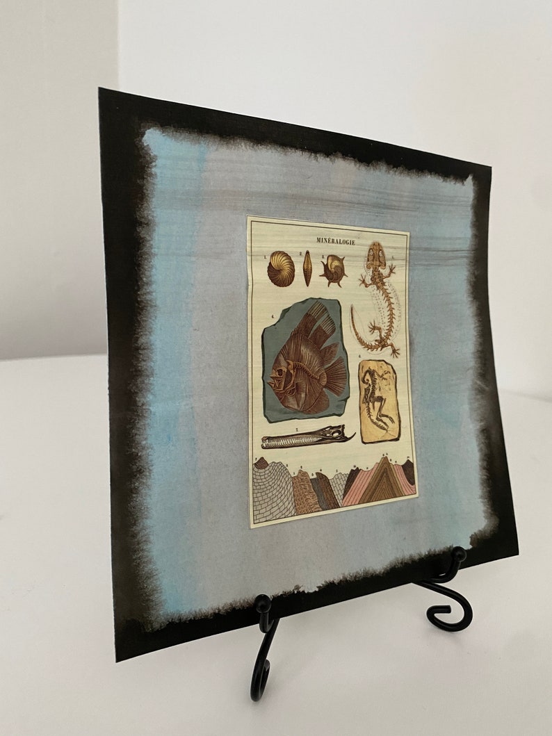 Original Fossils Diagram Watercolor Collage - Etsy