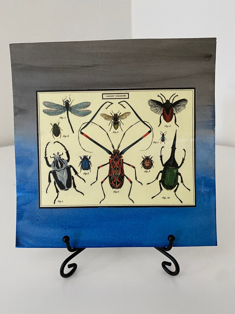 Print Bugs Diagram Watercolor Collage - Etsy