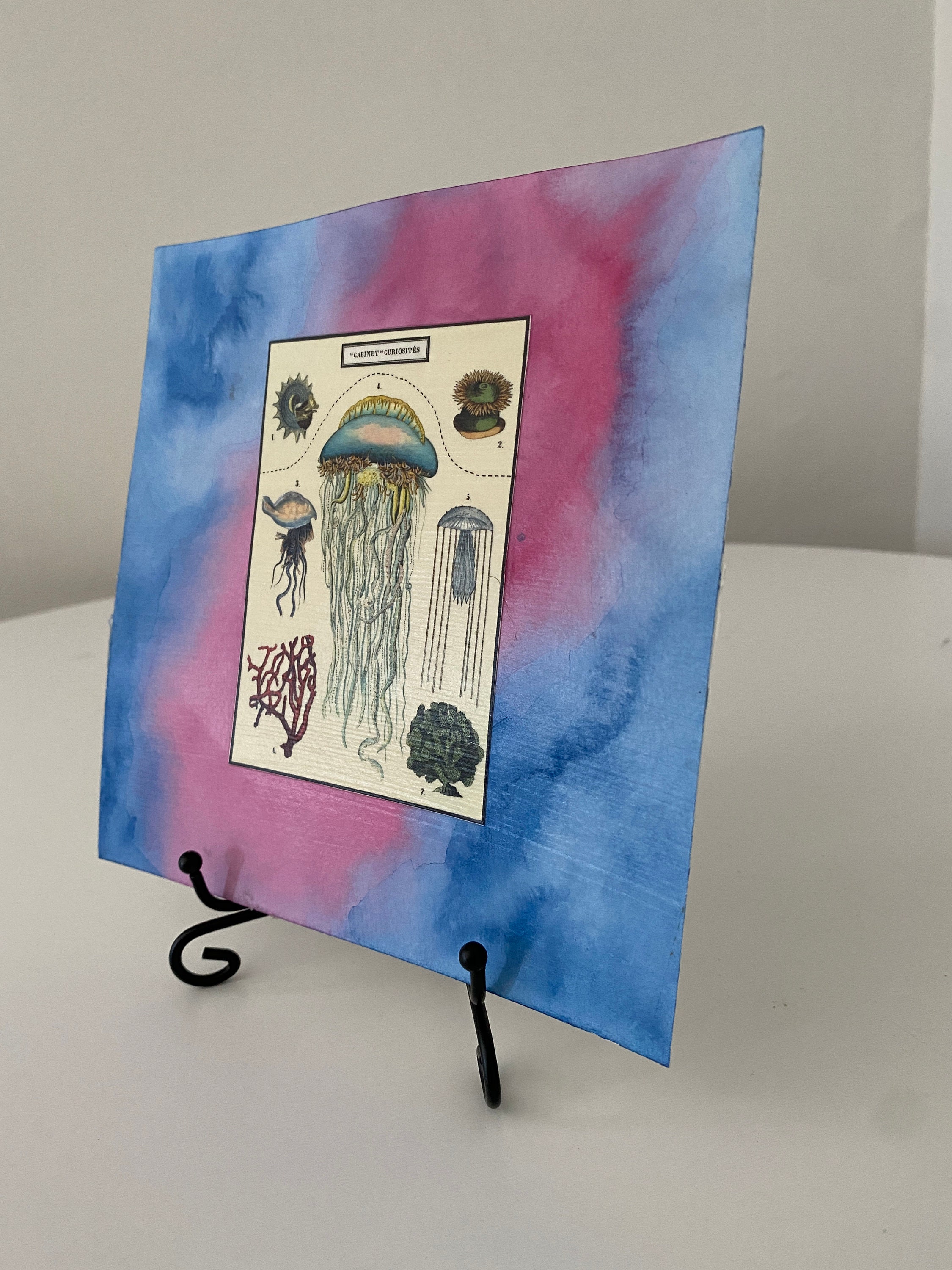 Original Jellyfish Diagram Watercolor Collage - Etsy