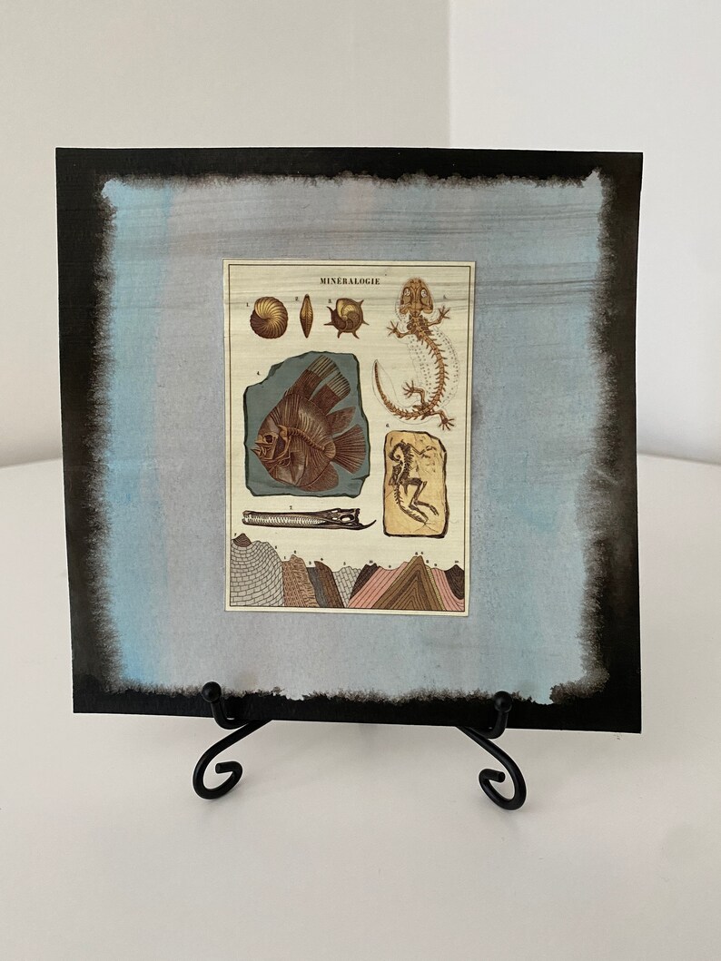 Original Fossils Diagram Watercolor Collage - Etsy