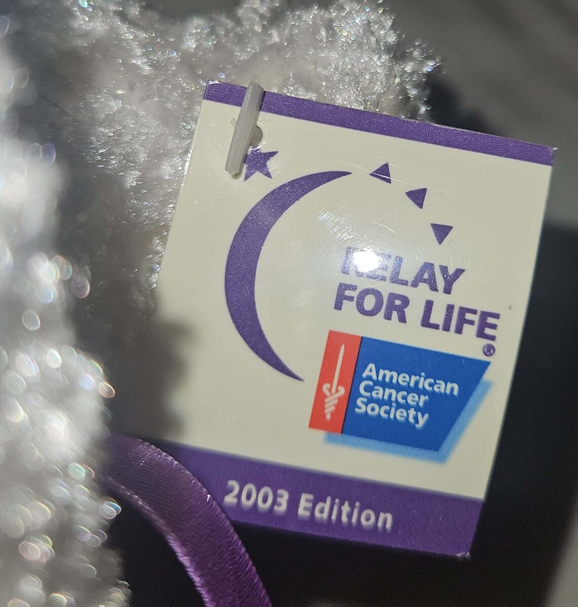 Relay for Life White Teddy Bear - Etsy