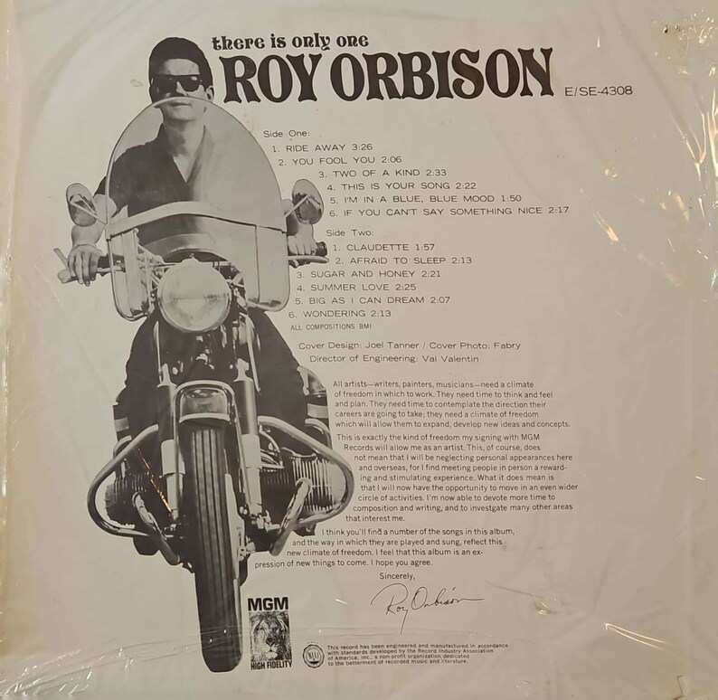 Lot of Roy Orbisons Vinyl Records - Etsy