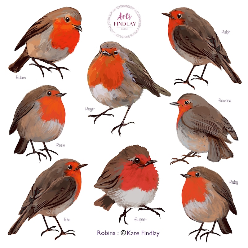 Robin Fabric - Etsy UK