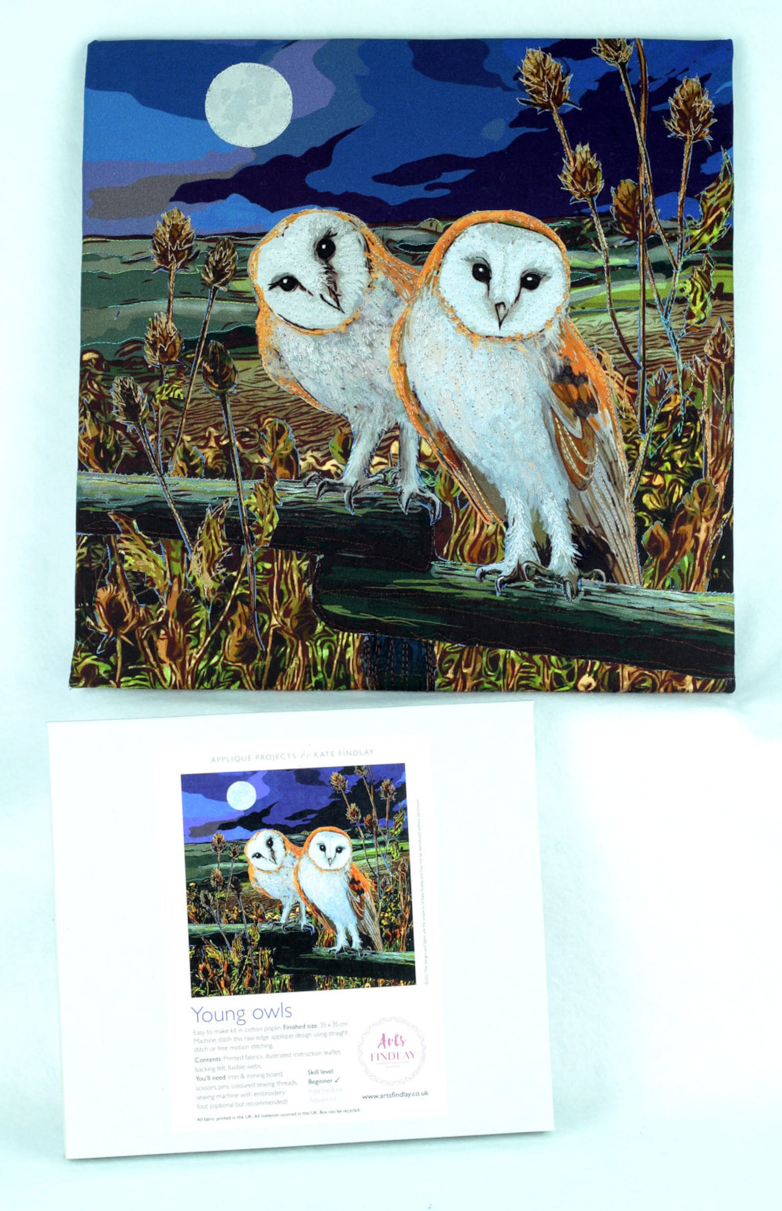 Young Owls Applique Kit - Etsy