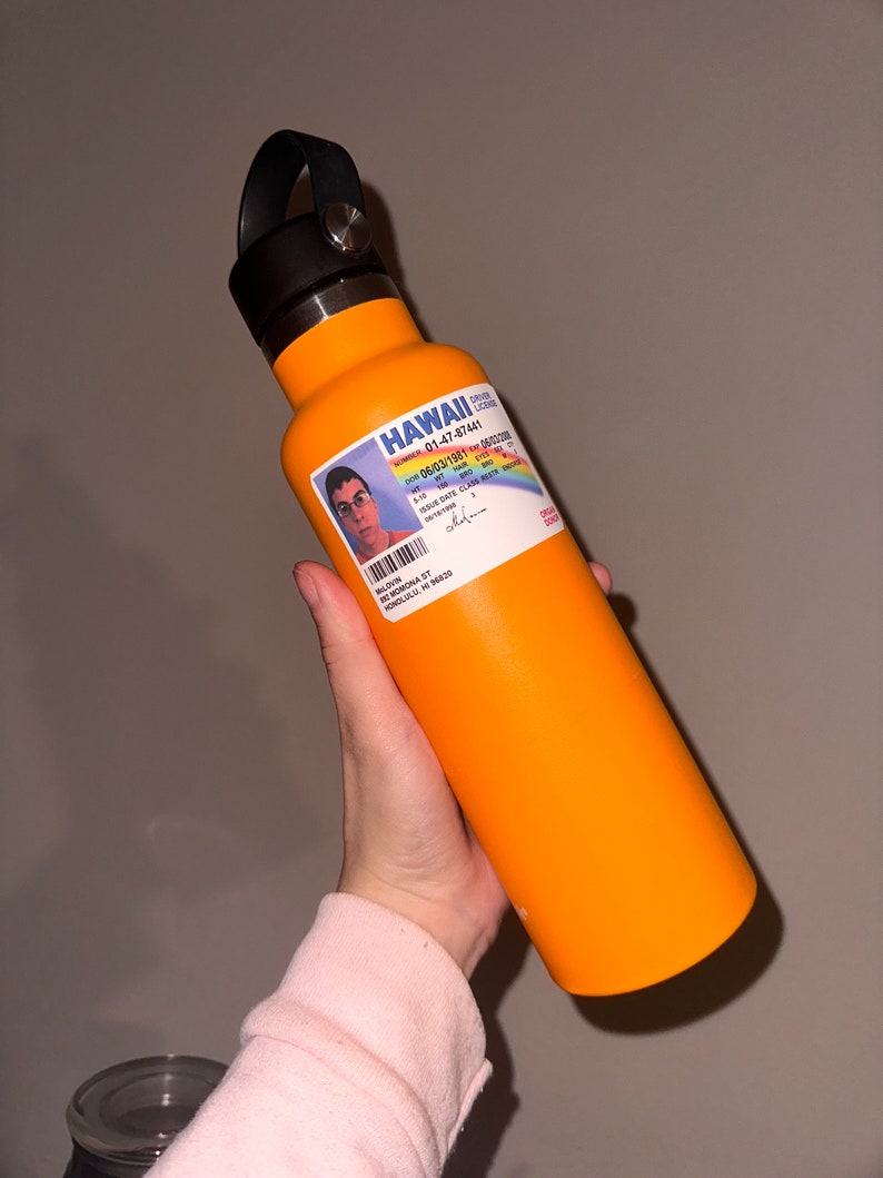 Spongebob License Sticker - Etsy