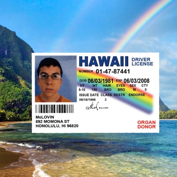 Spongebob License - Etsy