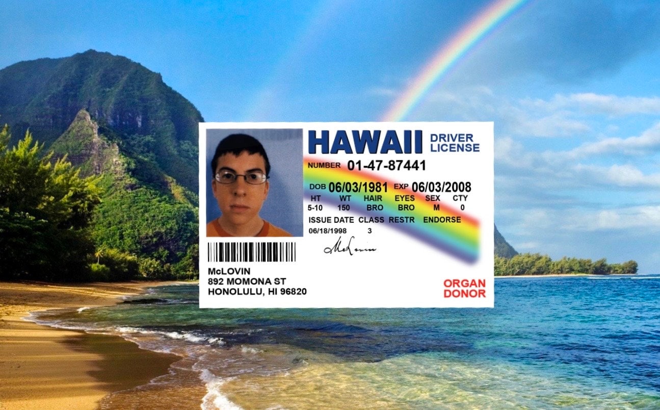 Spongebob License Sticker - Etsy