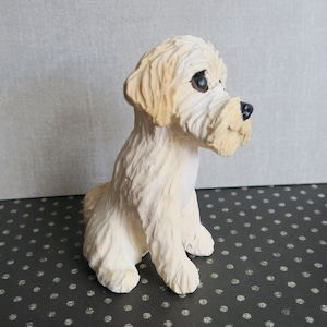 Doodle, Labradoodle, Schnoodle, Maltipoo, Havapoo, Poodle Mix Handmade ...