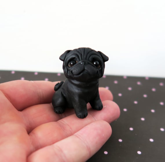 Mini Black Pugs