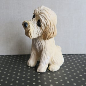 Doodle, Labradoodle, Schnoodle, Maltipoo, Havapoo, Poodle Mix Handmade ...