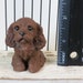 Cocker Spaniel Resin Collectible - Etsy