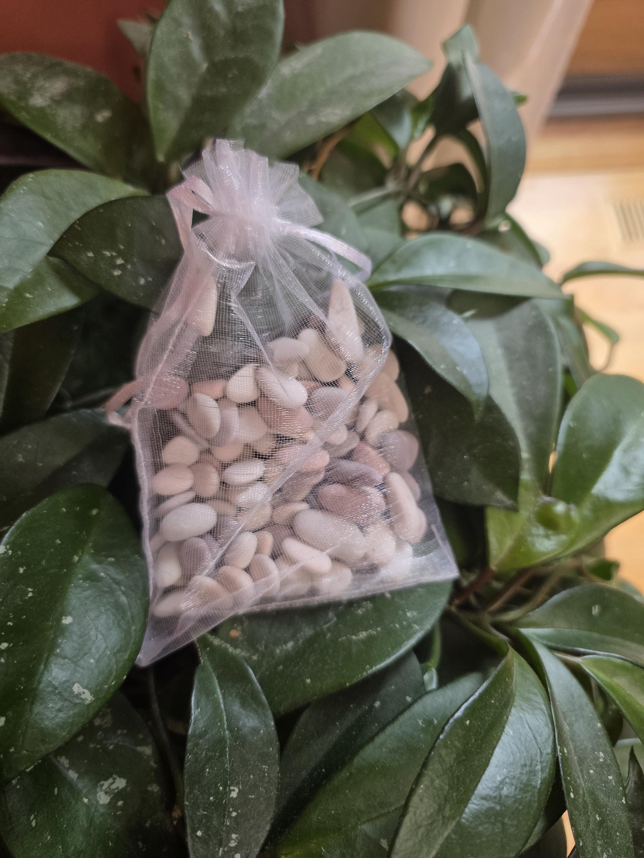 Very Tiny and Flat Sea Pebbles (100/200/300/400 Pc), Craft Stone ...