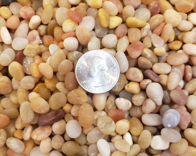 Small Flat Sea Stones (100 Pc), Pebble Art Supply, Small Sea Pebbles ...