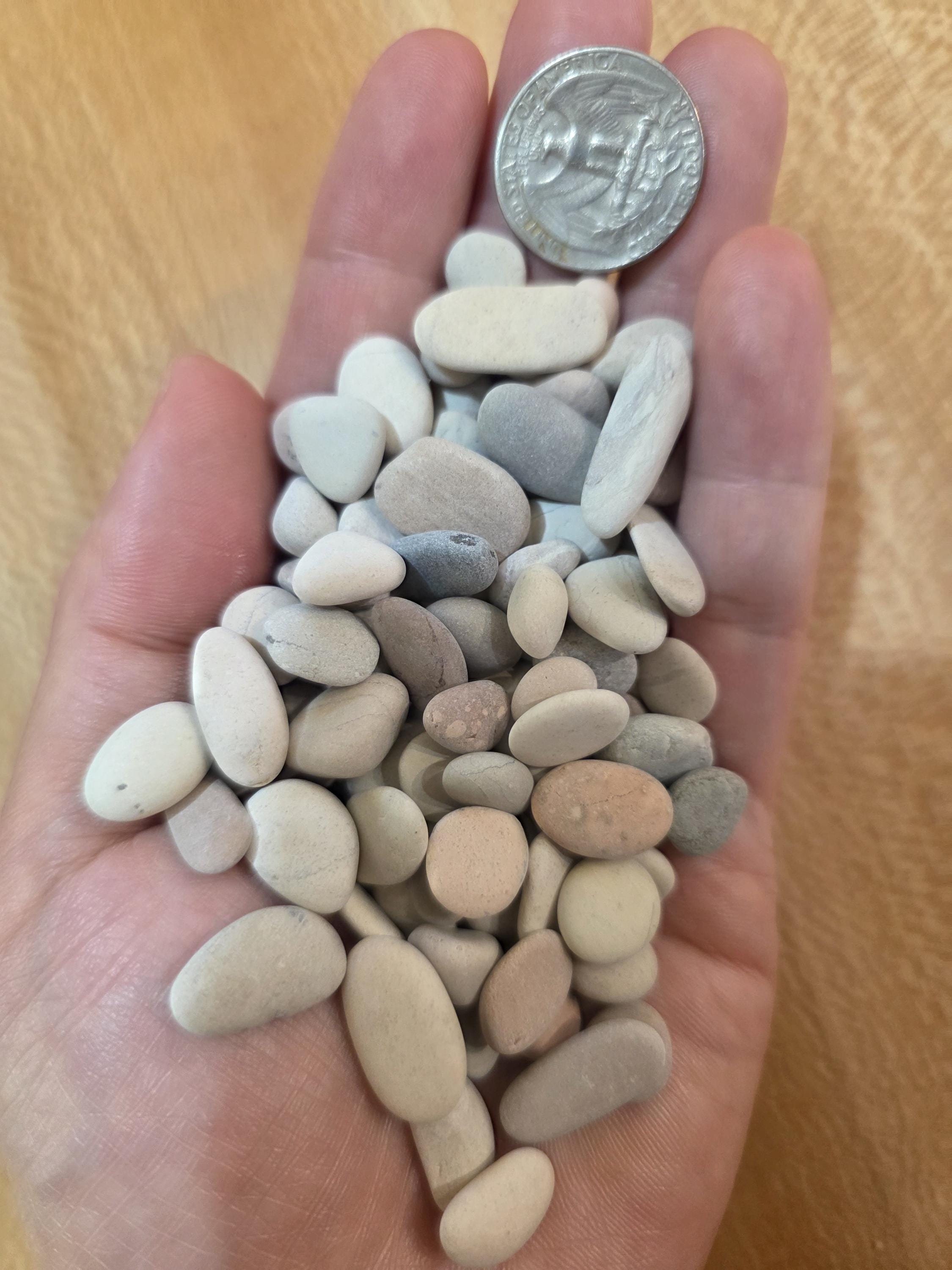Very Tiny and Flat Sea Pebbles (100/200/300/400 Pc), Craft Stone ...