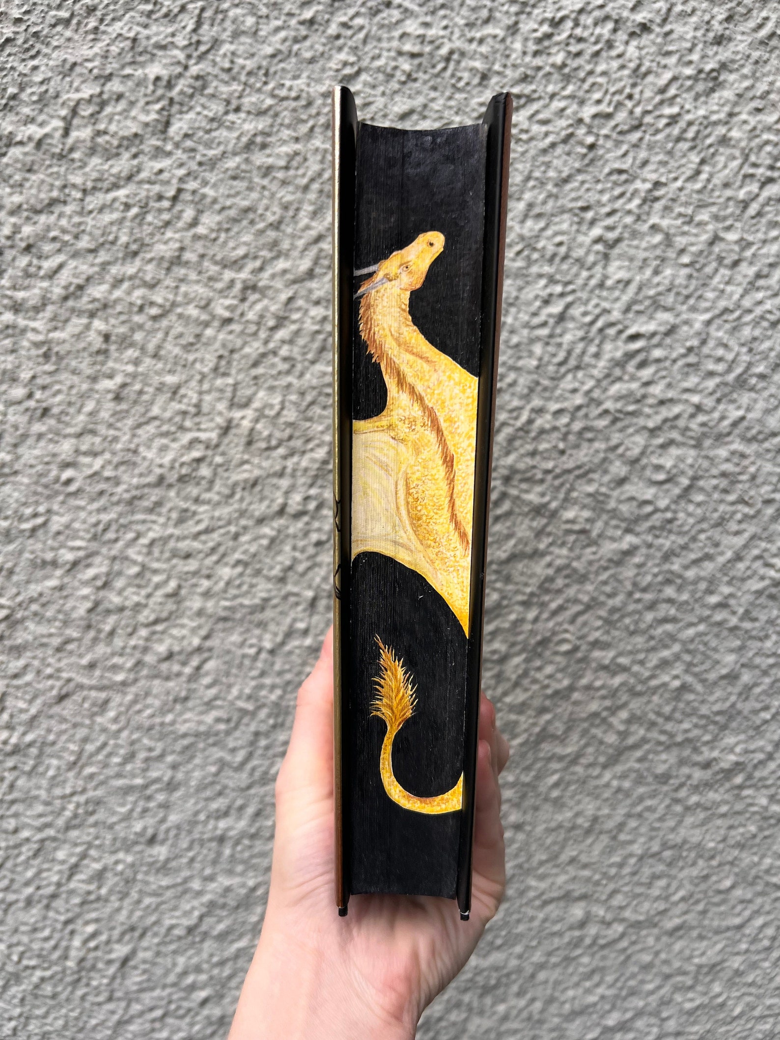 Fourth Wing Book Edge Painting - Etsy