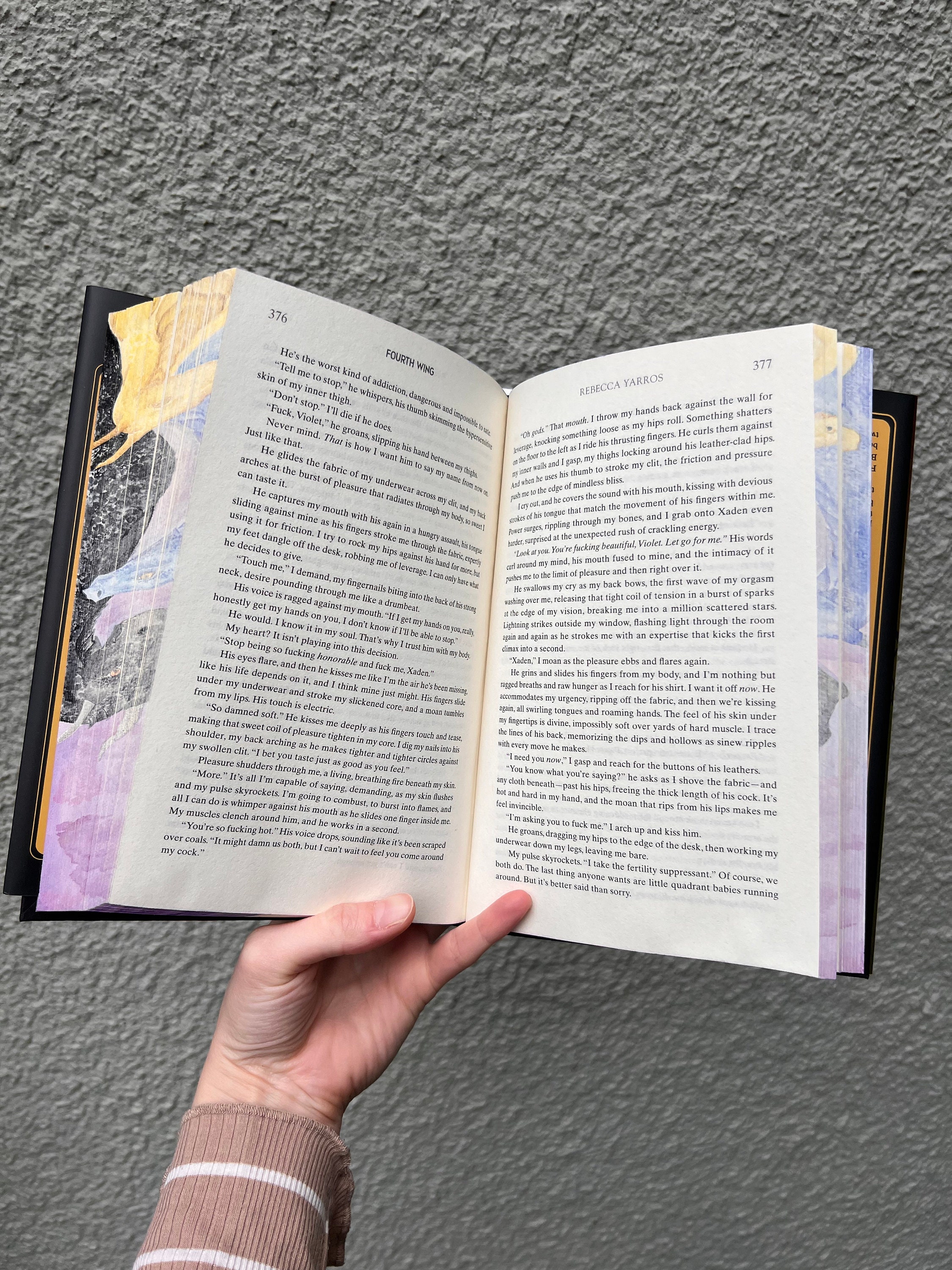 Fourth Wing Custom Book Edge Painting - Fore-edge - Etsy