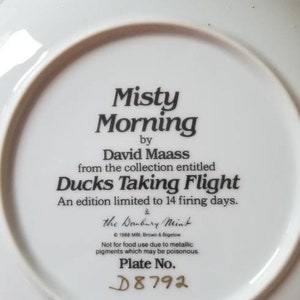 Misty Morning, David Maass, Plate Collection, Ducks, Duck Plate N ...