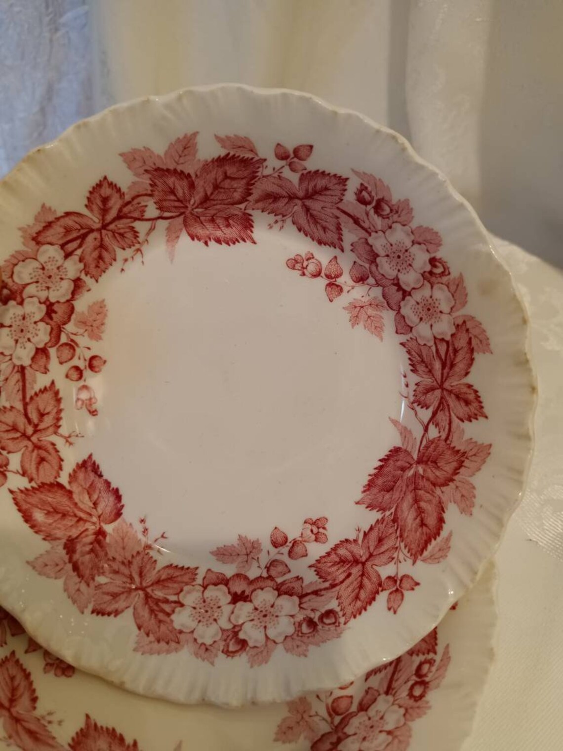 Plates Vintage Plate Desert Plate Bramble of Etruria - Etsy