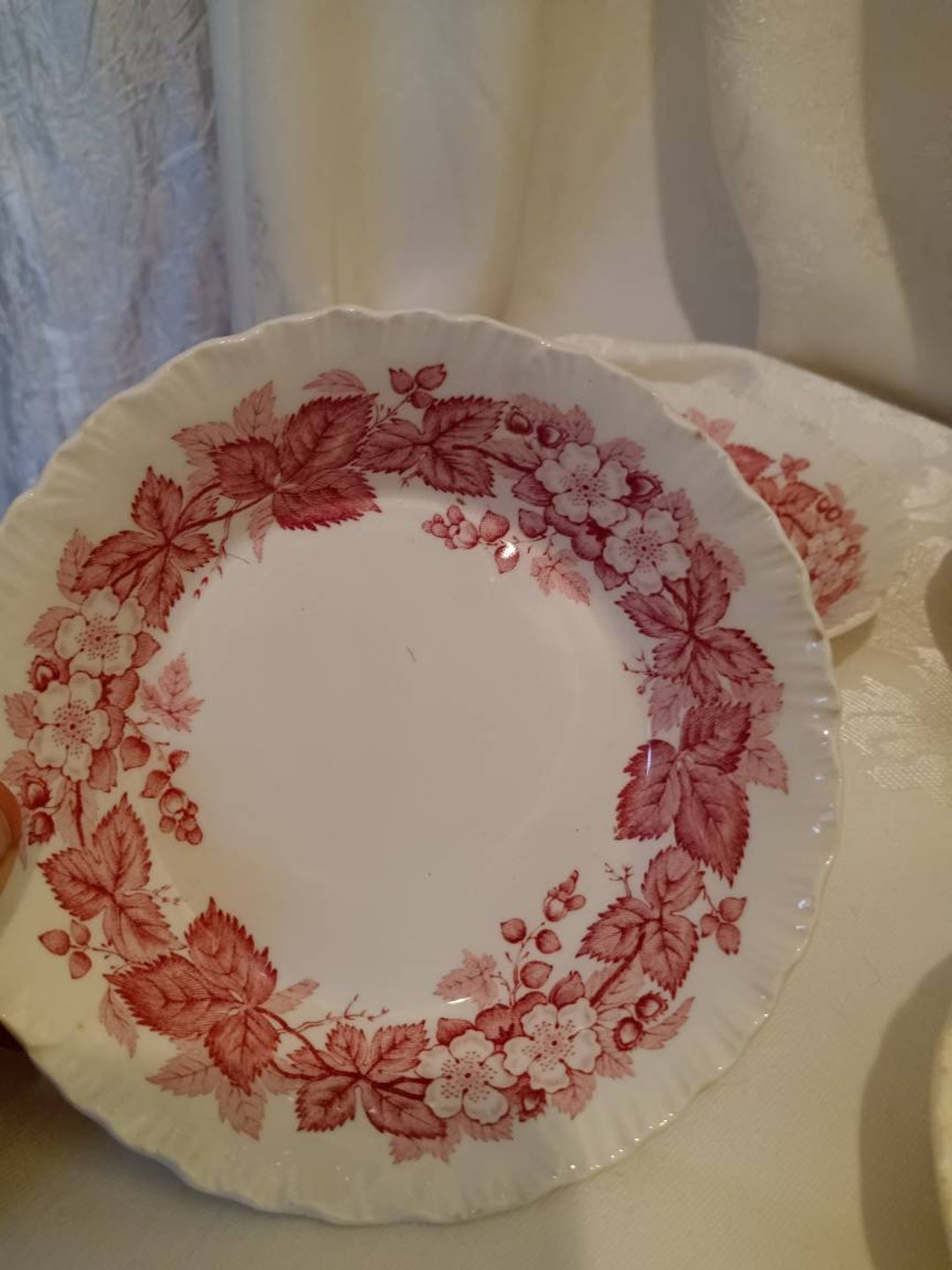 Plates, Vintage Plate, Desert Plate, Bramble of Etruria, Wedgewood, Set ...