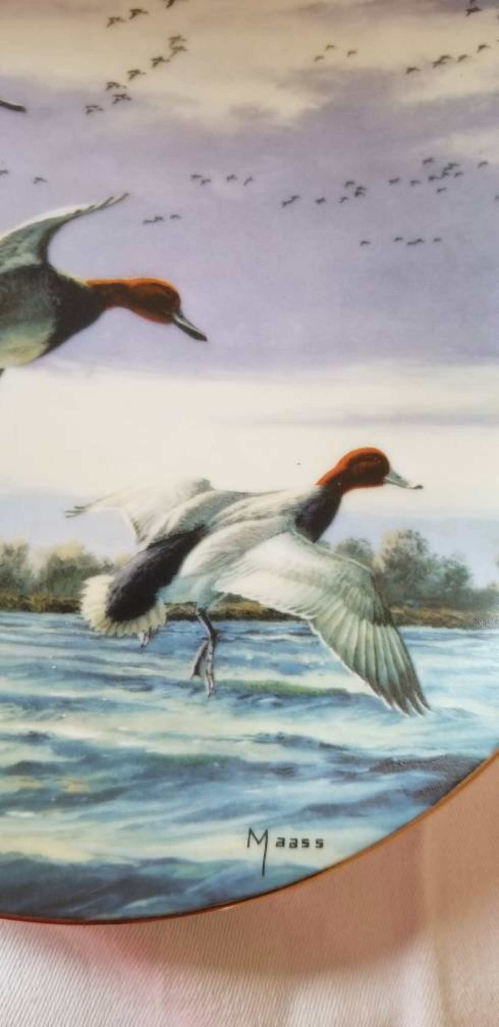 Rippled Landing, David Maass, Collectables, Duck Plate Collection ...